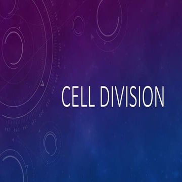 Phases of Cellular Division | PPTX