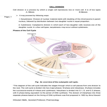 Cell division | PDF