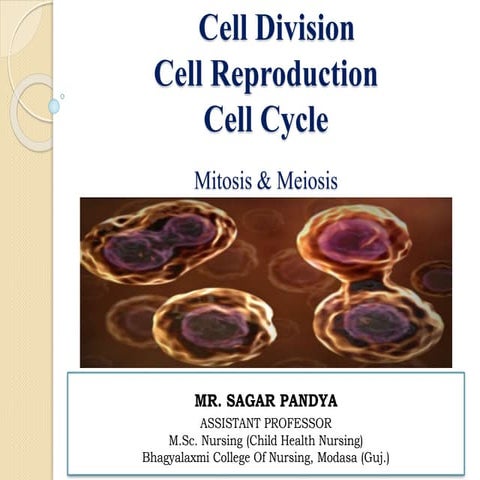 CELL DIVISION- Decoding Cell Division: The Dance of Life's Continuity ...