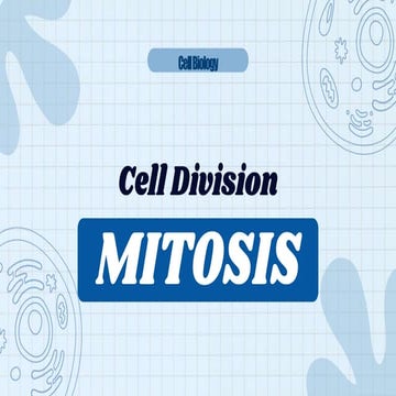 Cell Division.pptxnmhvhjkbhbh.bjkb.jkjn nk | PPT