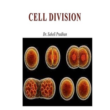 Cell division: Basic concept of Cytology | PPT