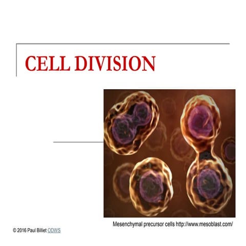 CELL DIVISION-----------------------.ppt
