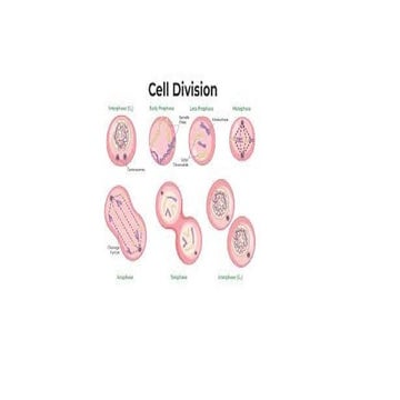 brief discussion of Cell Division of biology.pptx