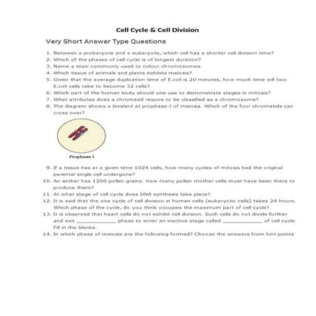 cell division best ppt on cell division.pptx