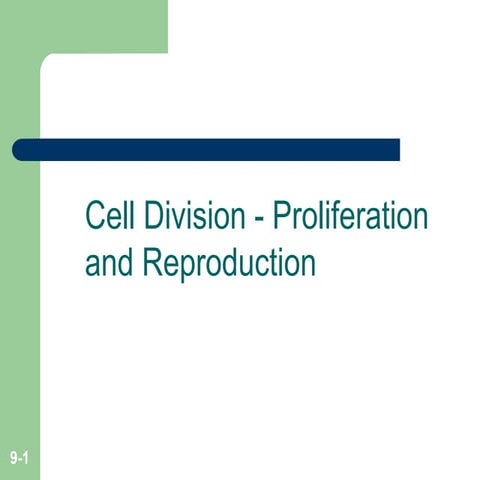 The Cell Cycle and Cancer | PPT