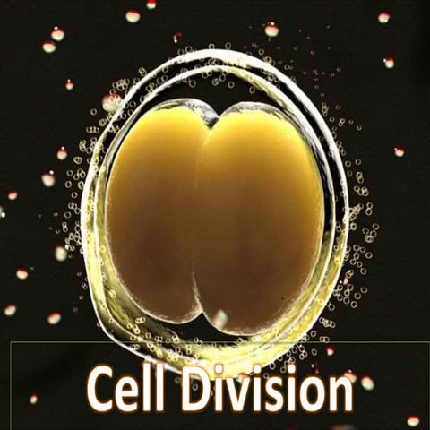 Cell growth & cell division | PPTX