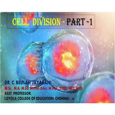 Cell division part - 1 | PDF