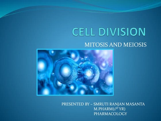 Mitosis Flip Book | PPT