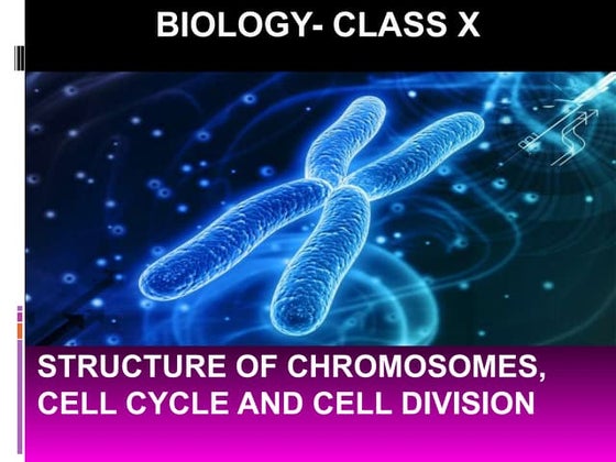 Lecture 1 DNA and Chromosomes.pptx