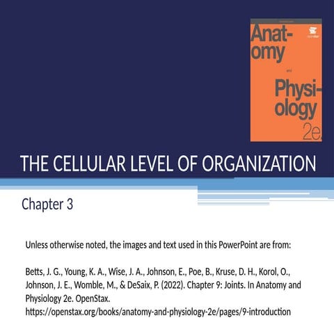 Cell division cycle PPT.pptx ANTOMY AND PHYSILOGY ALSO ADDED THIS TOPIC ...