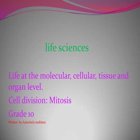 Cell division grade 10 | PPTX | Biological Sciences | Science