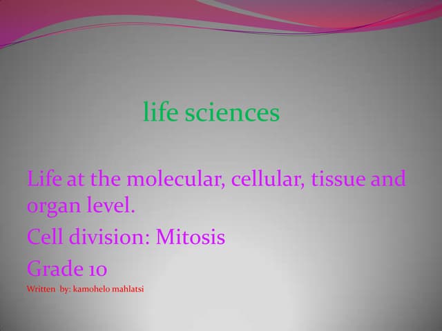 MITOSIS: LIFE SCIENCES FOR GRADE 10`S | PPTX