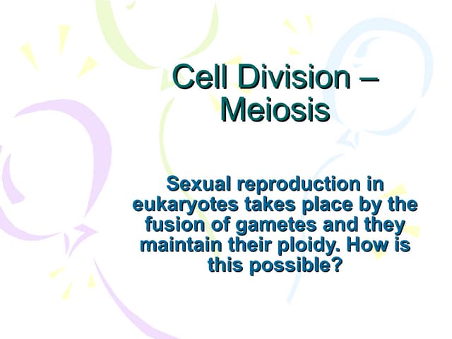 Meiosis | PPT