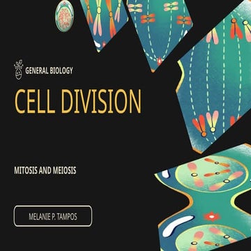 Biology- Cell Division (Mitosis and Meiosis).pptx