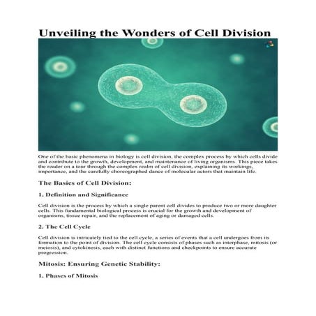 Cell Division: Mitosis, Meiosis & Cytokinesis | The Lifesciences ...