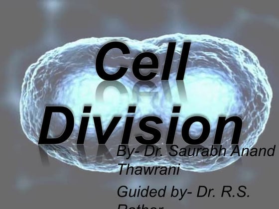 Mitosis | PPT