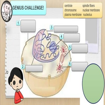 Cell division12345678901234567890 ppt.pptx