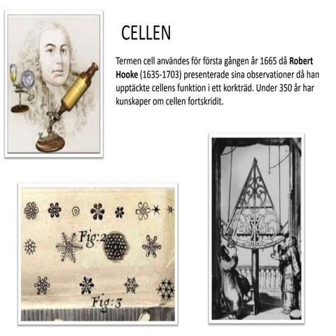 Cellen | PPTX