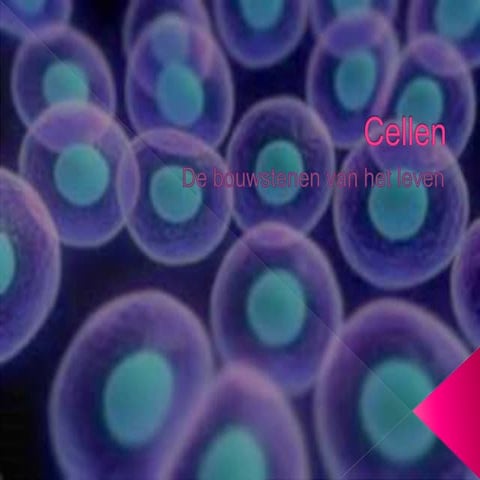 Cellen | PPT