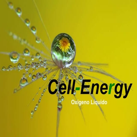 Cell Energy | PPT
