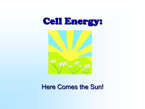 Cell Analogy Example | PPTX