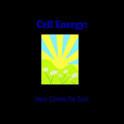 Cell energy | PPT