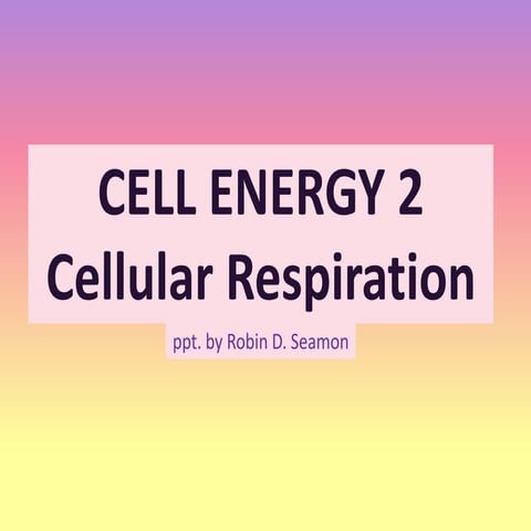 Cell Energy 2: Respiration & Fermentation | PPTX