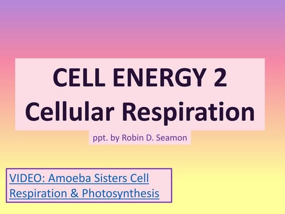 Cellular respiration introduction for 9th grade biology | PPT