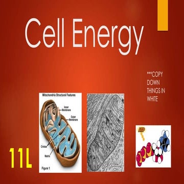 Cell energy 7th | PPTX