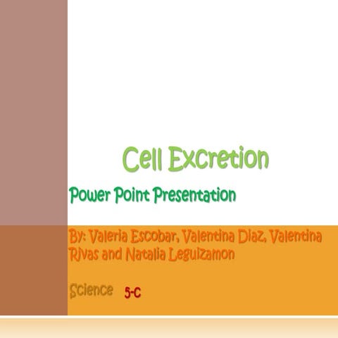 Cell excretion Power Point Presentation | PPTX