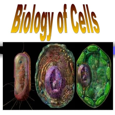 Cell factory2012 | PPT