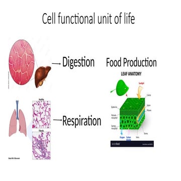 Science Cell functional unit of life.pptx