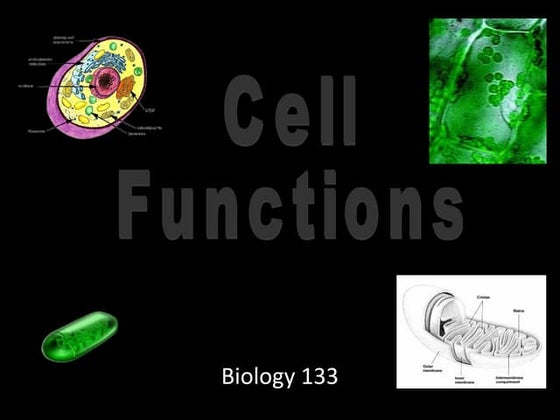 Parts of cell and their functions | PPTX