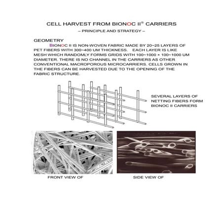 Cell harvest principle | PDF