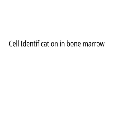 BONE MARROW.................................pptx