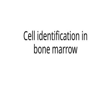 Cell identification in bone marrow1.pptx