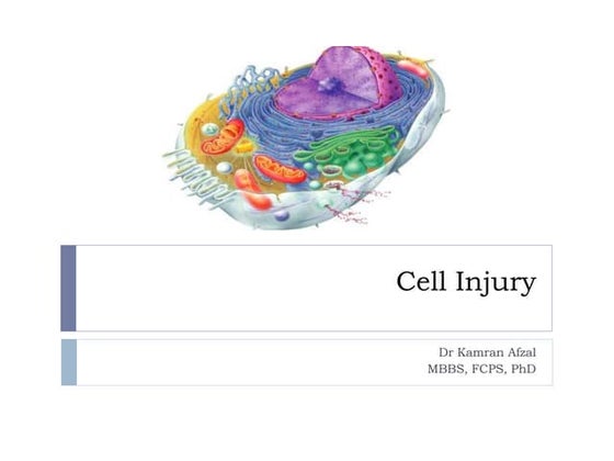 Kamran Afzal, Phd. presentations