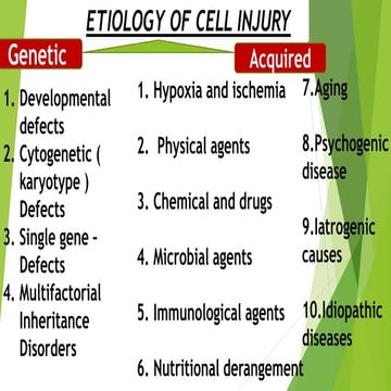 Cell injury | PPT