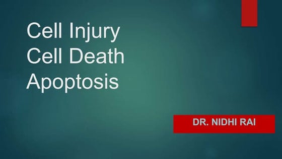 Difference between reversible and irreversible cell injury,Mechanism of ...