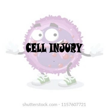CELL INJURY.pptx cell injury cell injury | PPTX