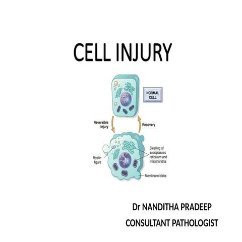 CELL INJURY POWER POINT PRESENTATION ONE | PPT