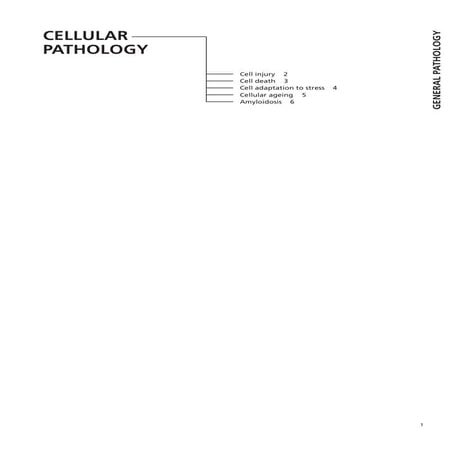 Cell injury pathology mind map | PDF