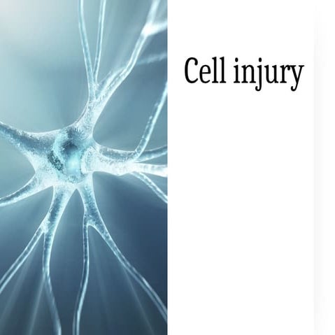 cell injury .cell injury by Rashmi singh | PPTX