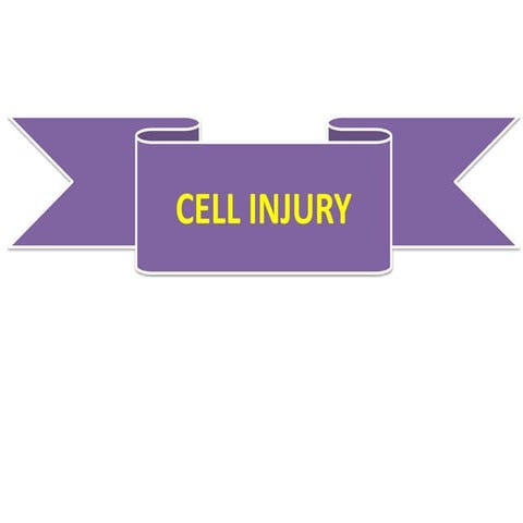 Cell injury, Etiology, Pathogenesis, & Morphology of cell Injury | PPTX