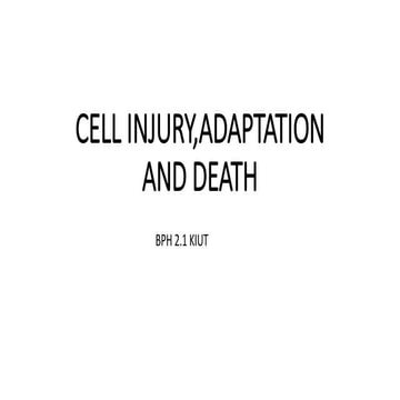 CELL INJURY,ADAPTATION AND DEATH-2.1.pptx