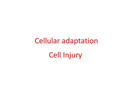 Cell injury and Cellular Adaptation: Pathology | PPTX | Biological ...