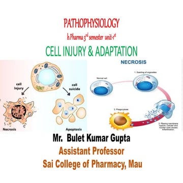 Cell injury | PPT