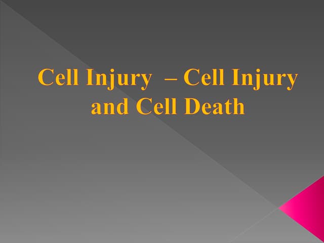 Cell Injury and Cell Death | PDF | Lung and Respiratory Health ...