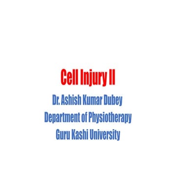 Comprehensive Overview of Cell Injury: Reversible and Irreversible ...