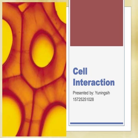 Cell interaction | PDF